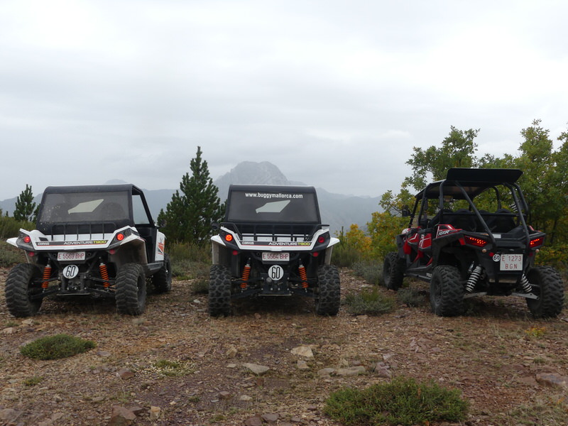 Información de la actividad y precios de buggies en León